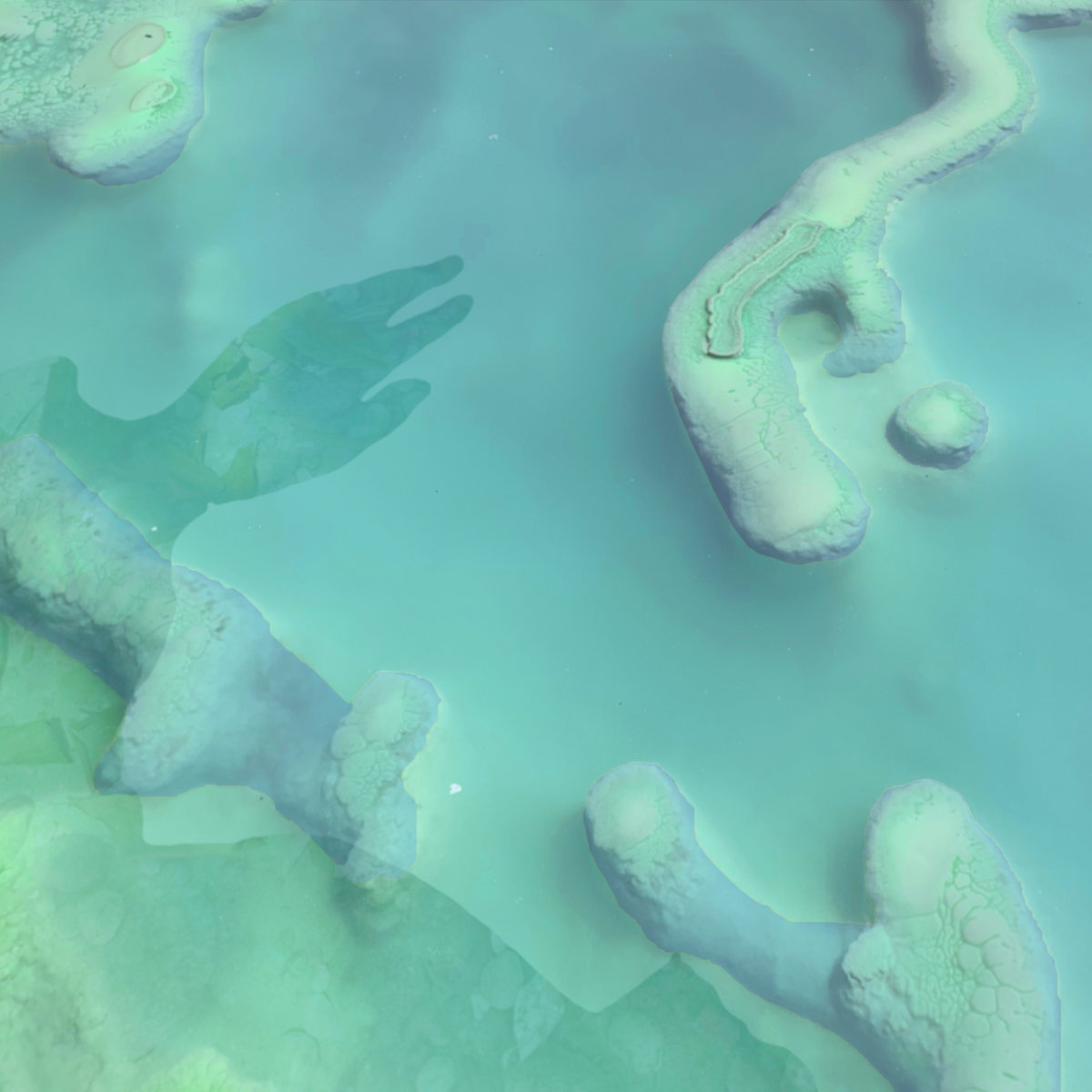 Comfort Object | brain tan