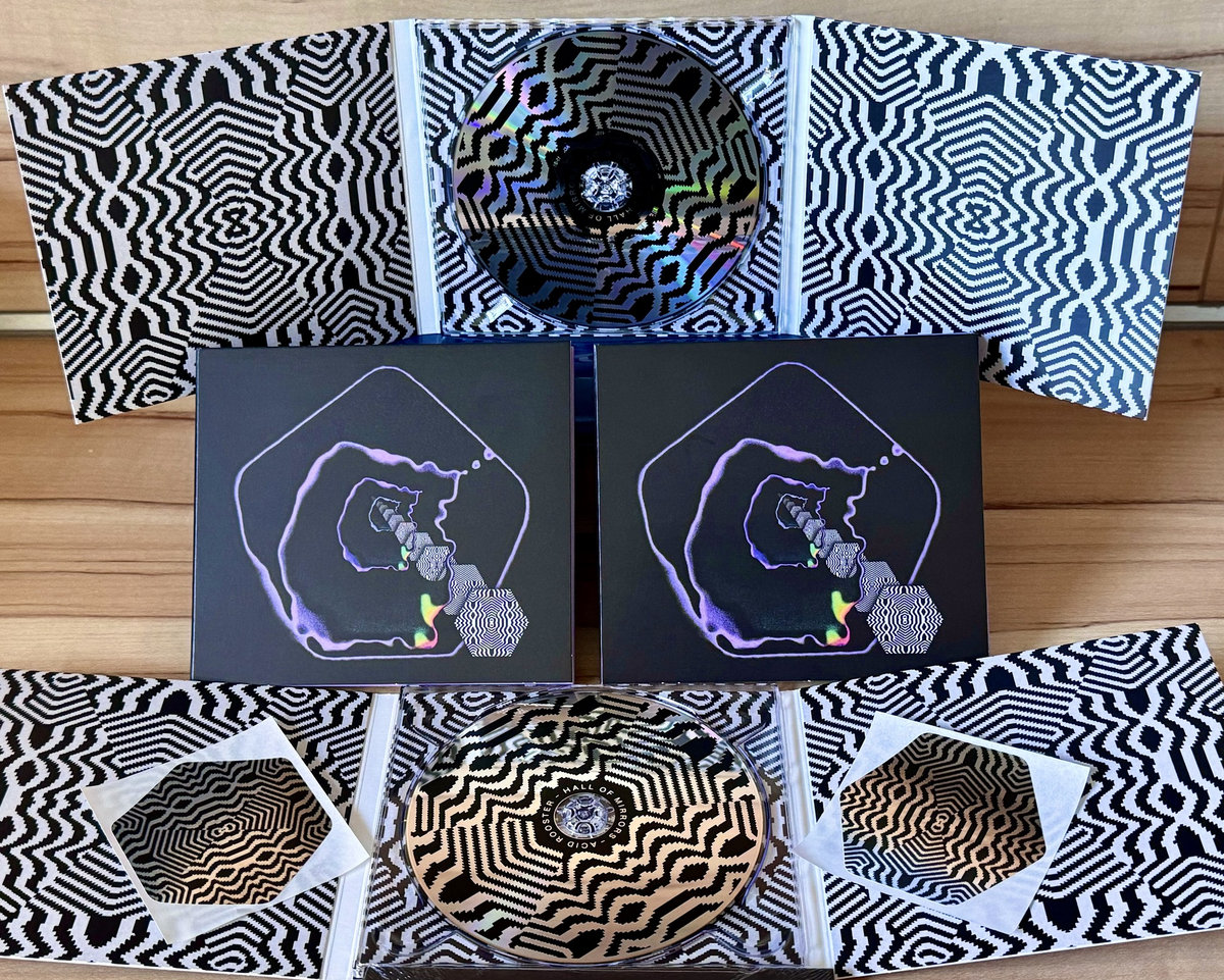 Hall of Mirrors | ACID ROOSTER