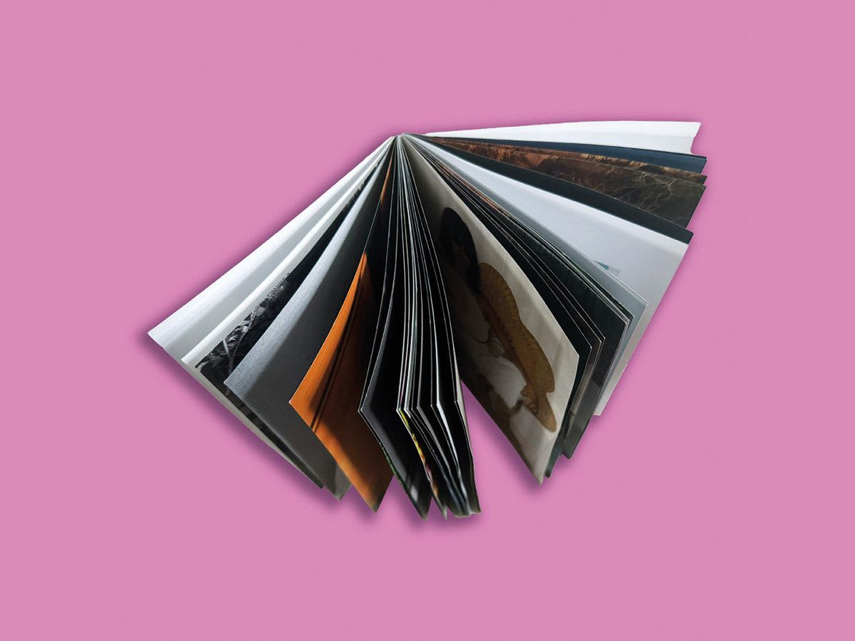 Toy Tonics Pocket Poster Magazine No. 3 - The Photographic Issue | Toy ...