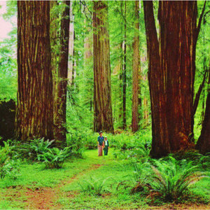 Music | Redwood