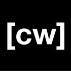 BUTCHER VANITY | Flavor Foley | Jamie Paige