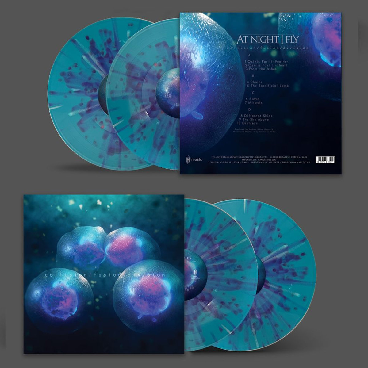 collision/fusion/division | At Night I Fly