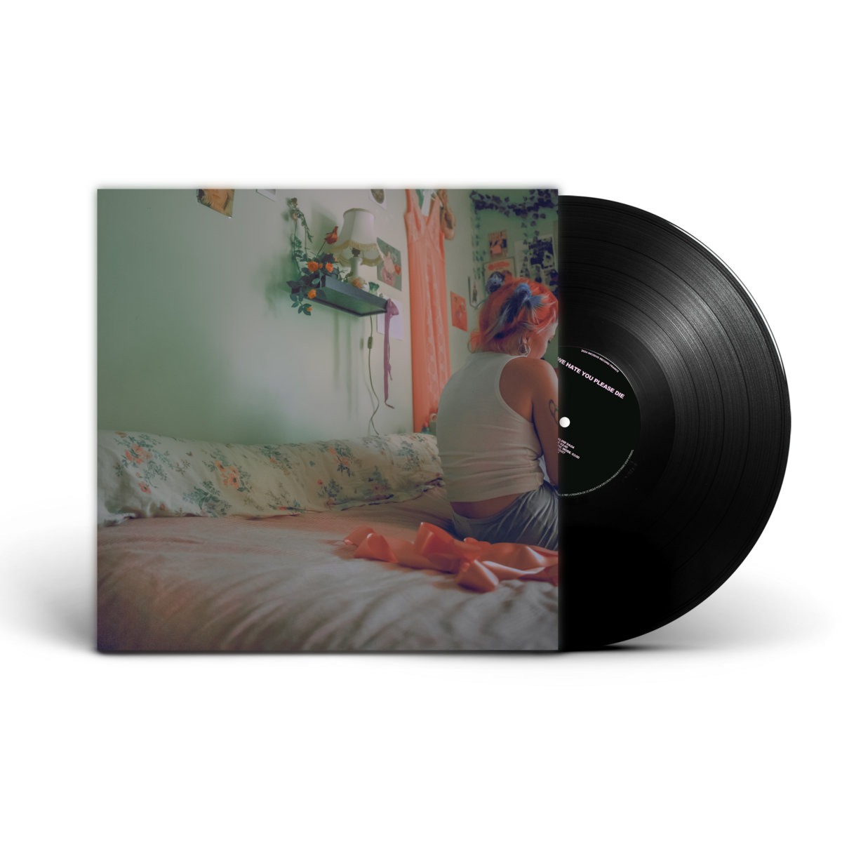 Chamber Songs | We Hate You Please Die