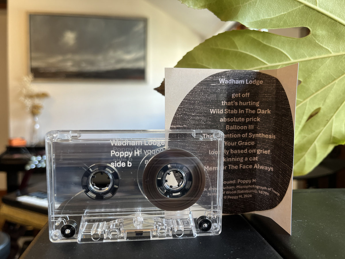 Wadham Lodge | Poppy H