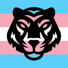 CARDIAC CONTREPOINT | FLAVOR FOLEY