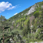 A Visceral Retch | Whitechapel