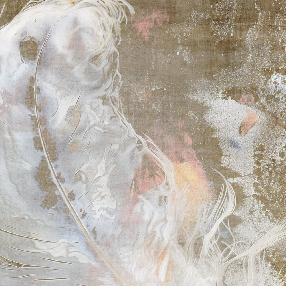 Demons to Pick From | Circulation of Light