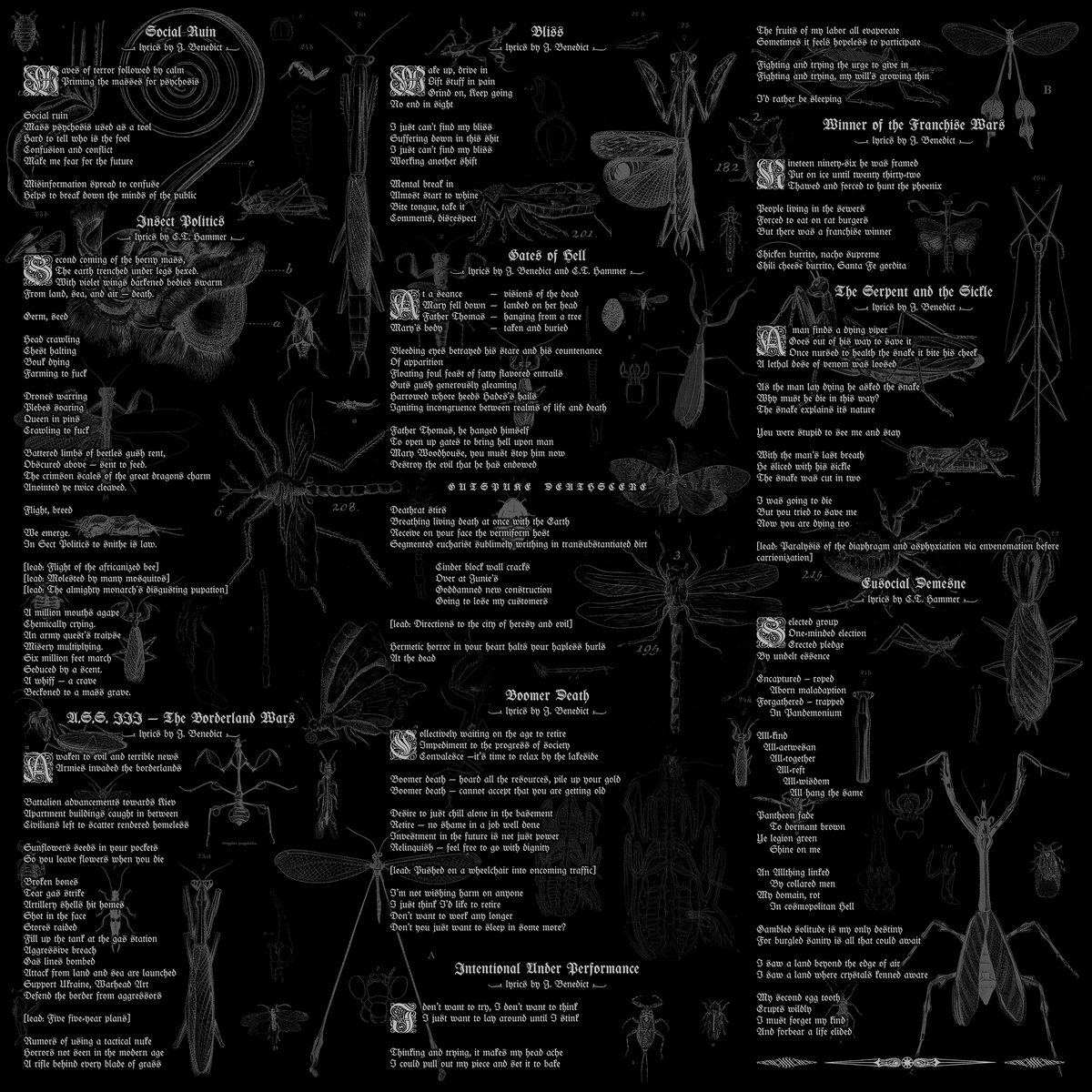 Insect Politics | Misanthropic Aggression | BORIS RECORDS