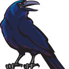 Magnolia | Rufus T. Firefly