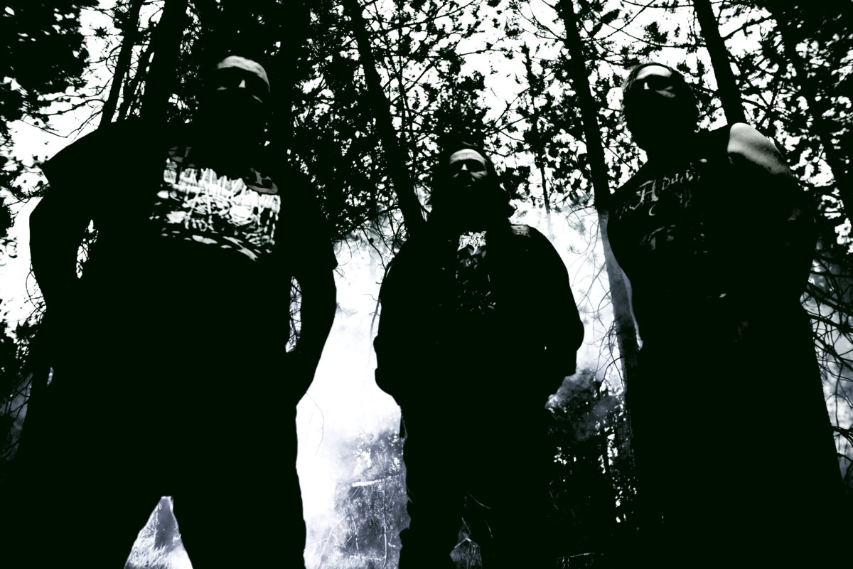 Whereabouts Unknown | Shadow and Claw