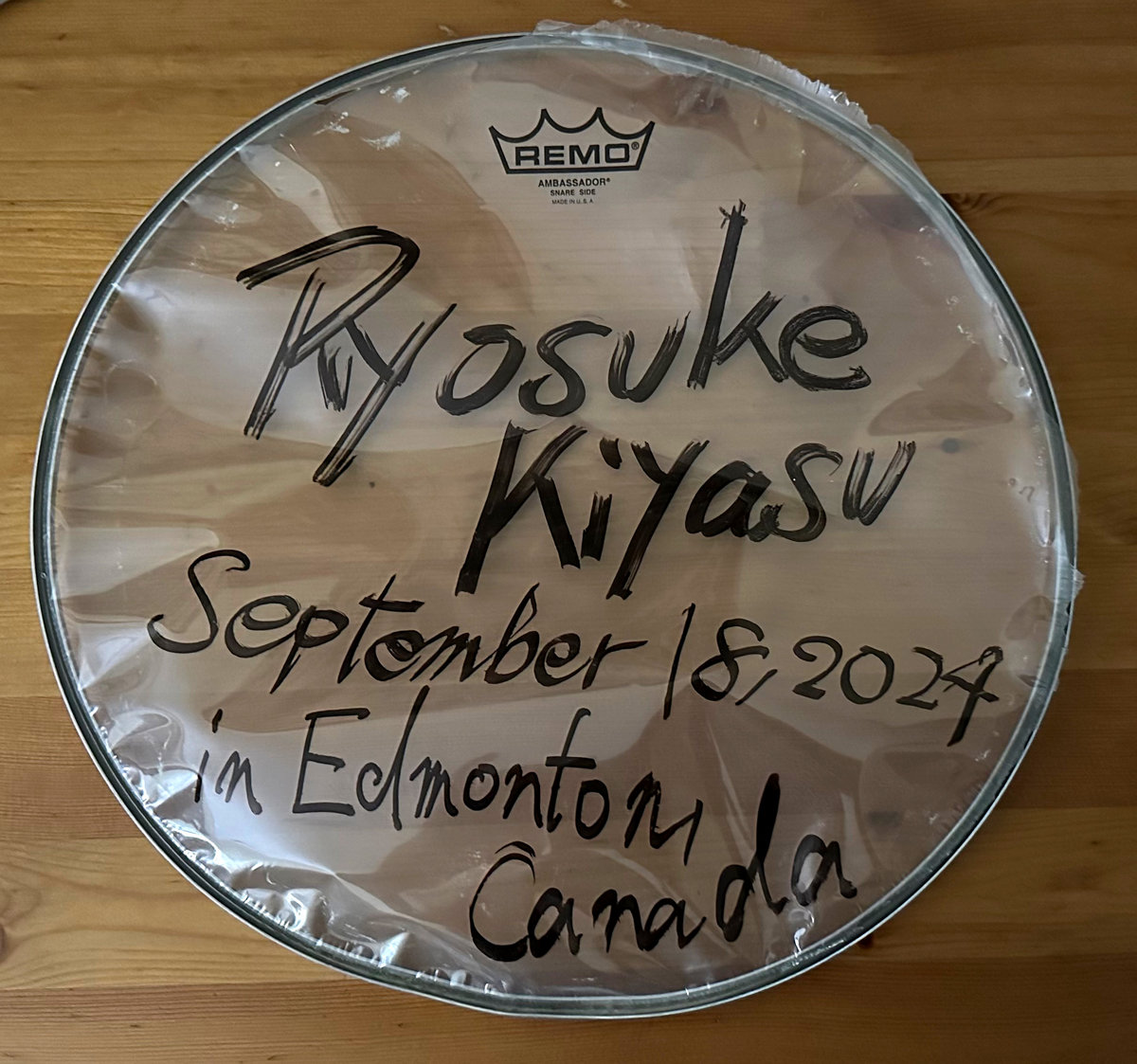 Signed REMO Clear Ambassador 14" - snare side (used on Canada tour 2024 ...