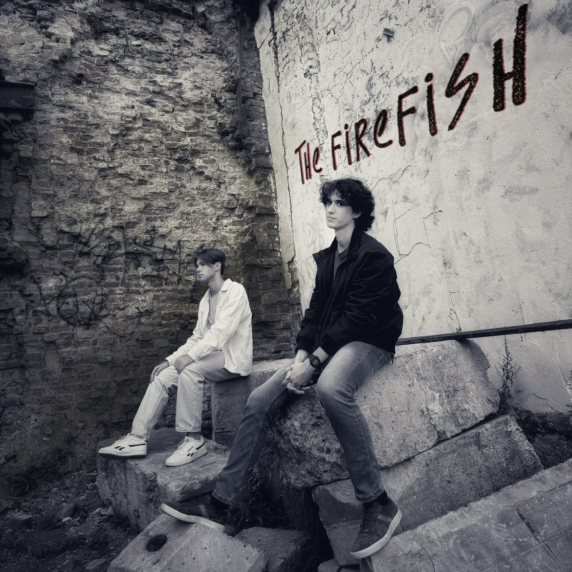 The Firefish | The Firefish