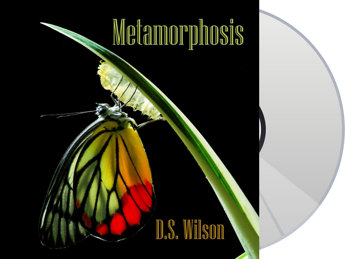Limited Edition Autographed Pre-Release CD - Metamorphosis | D.S. Wilson