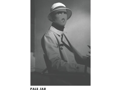 'Sir Jay' poster | Pale Jay