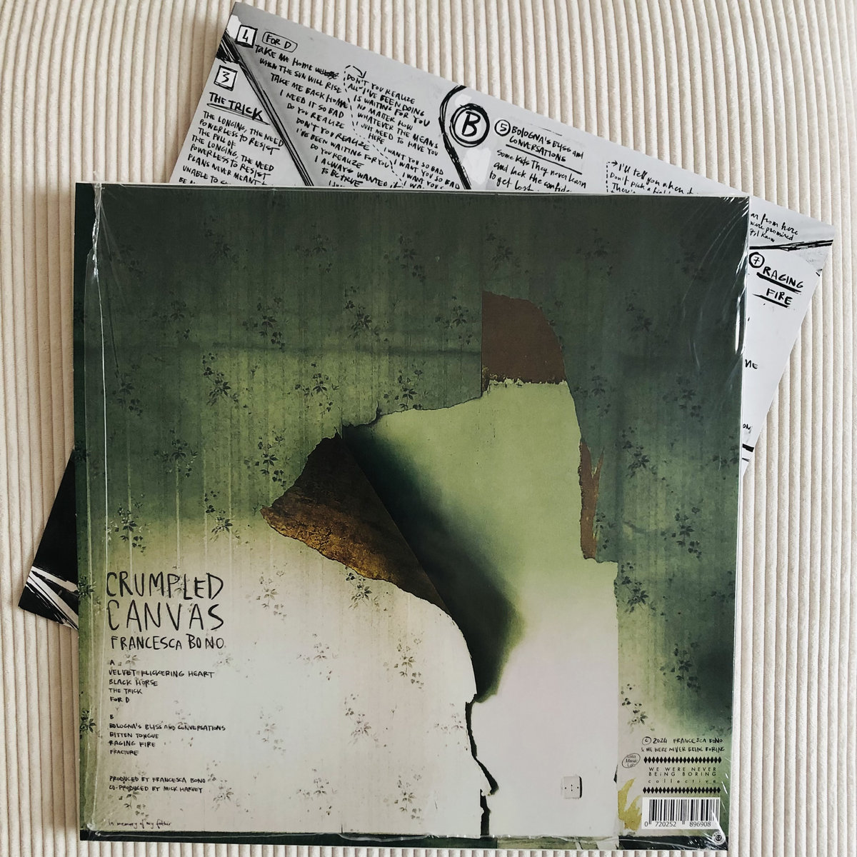 Crumpled Canvas | Francesca Bono