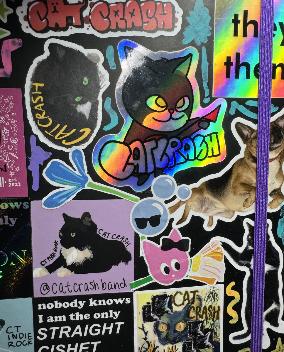 Cat Crash Holographic Sticker [Small] | Cat Crash