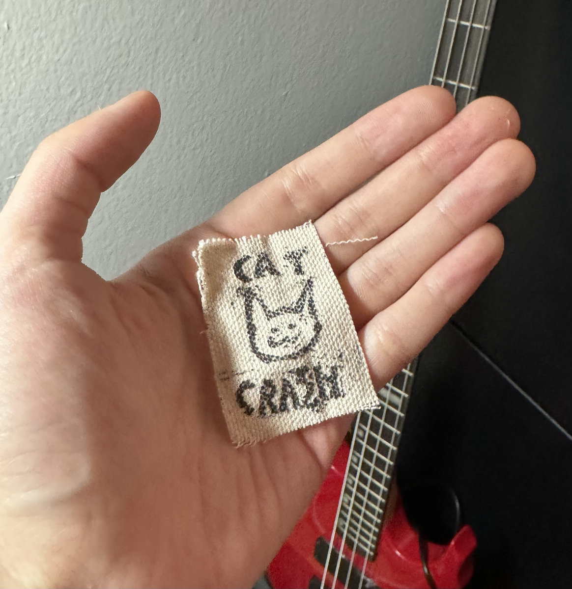 Cat Crash Patches | Cat Crash
