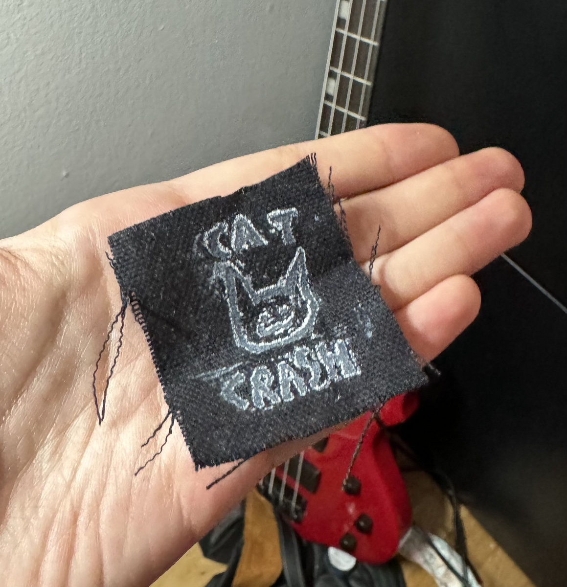 Cat Crash Patches | Cat Crash