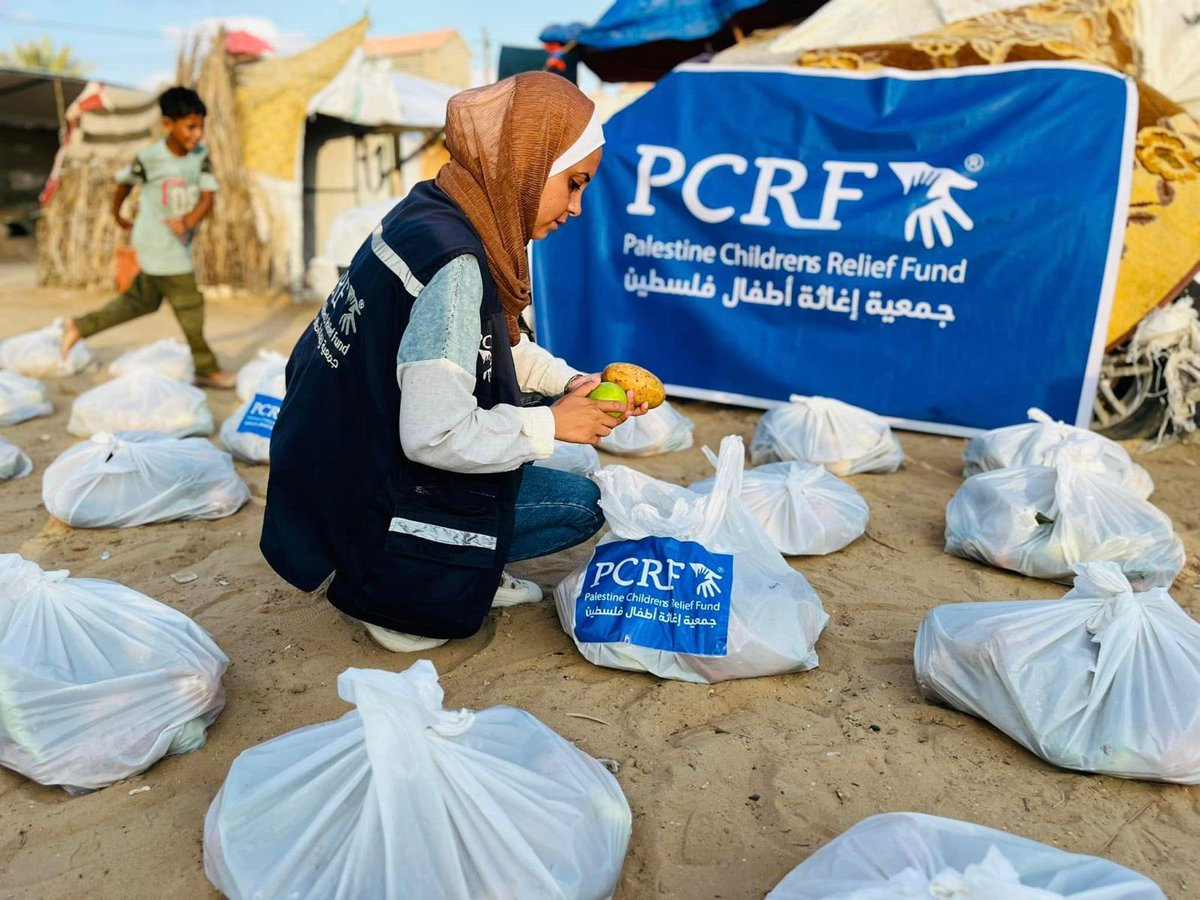 "Healer" funds for PCRF - t-shirt | SUMAC