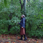 The Horror and the Wild | The Amazing Devil