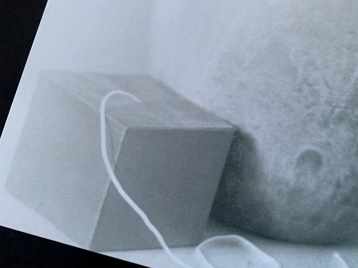 kgkgkg's collection | Bandcamp