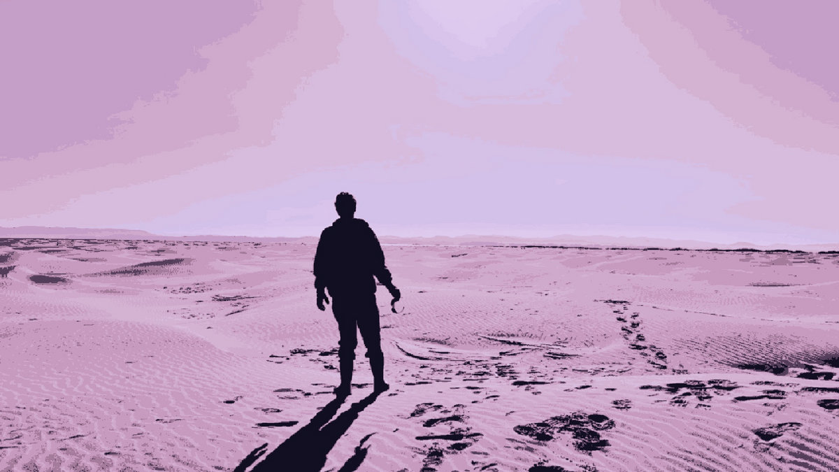 Daft Punk - Veridis Quo (Echodreamer Remix) | ECHODREAMER | The Fletch