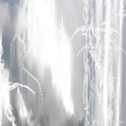 Frailty | Jane Remover