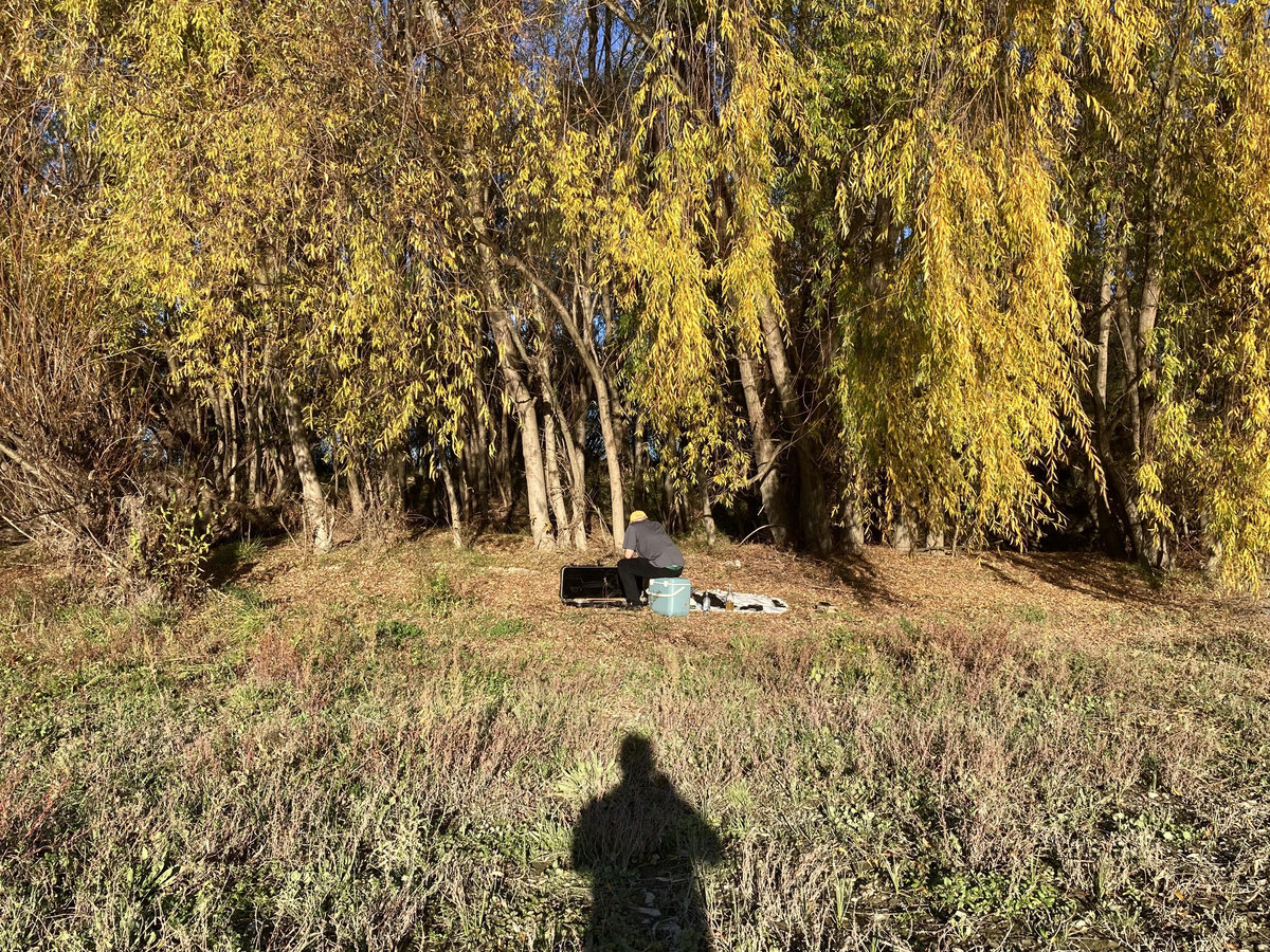 Earth Diffusion | Mark Anderson & Anthony Guerra