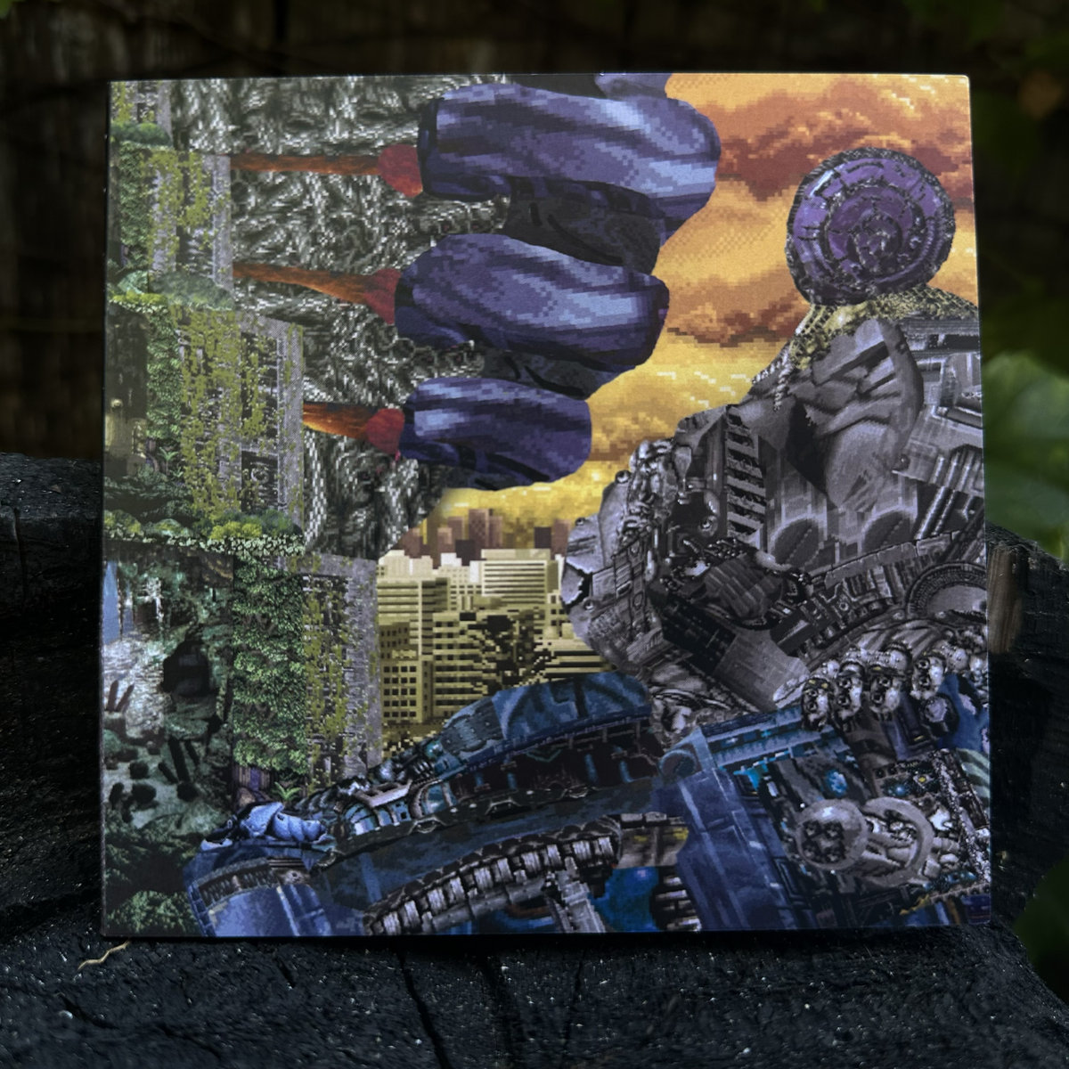 No. 1 in the World | RXM REALITY