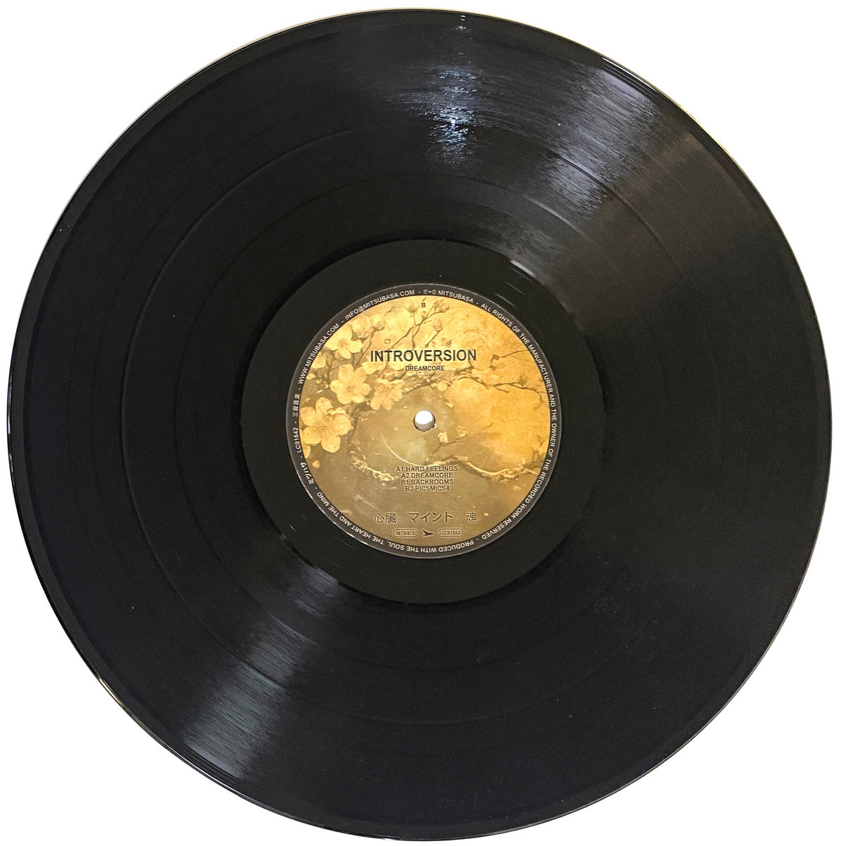Dreamcore EP (MTB015) | Introversion | Mitsubasa