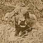 Out Late | Eric Scott Reed