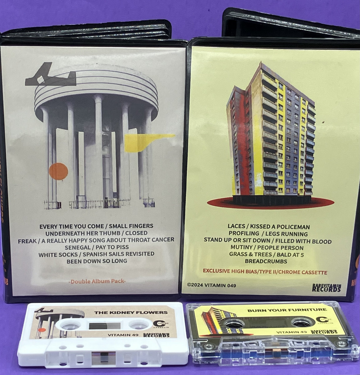 Double Album Pack | The Kidney Flowers | Rare Vitamin Records