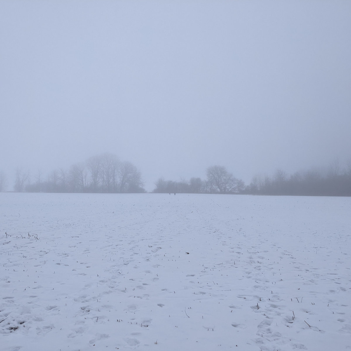 Everything Ends At the End of the World (2025) | Another Dark December