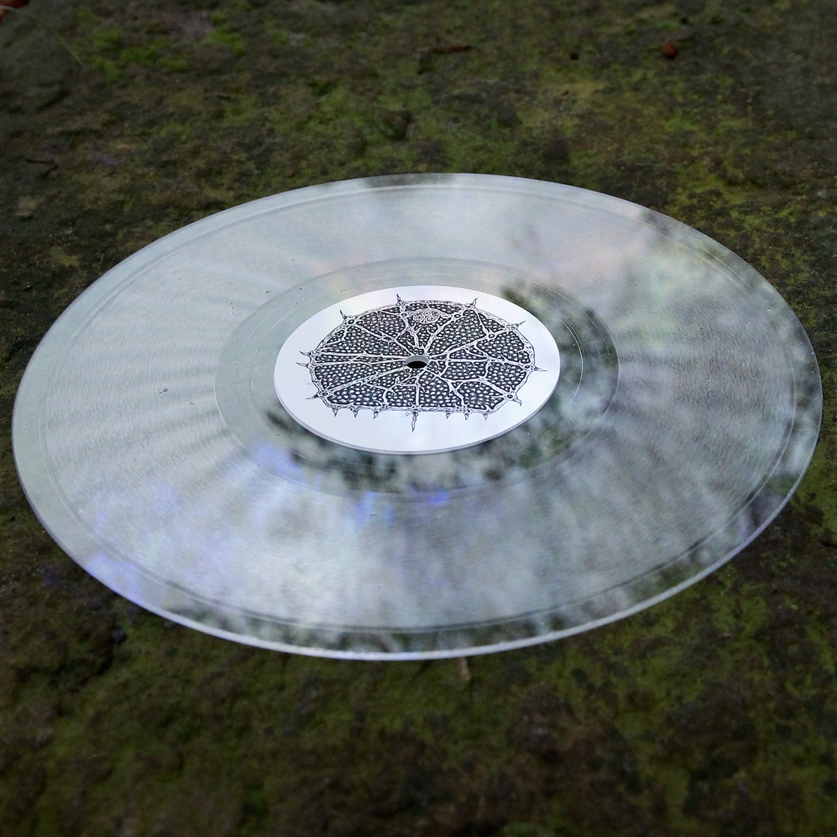 Neuritis EP | Emma Dowdy | Terenor Records