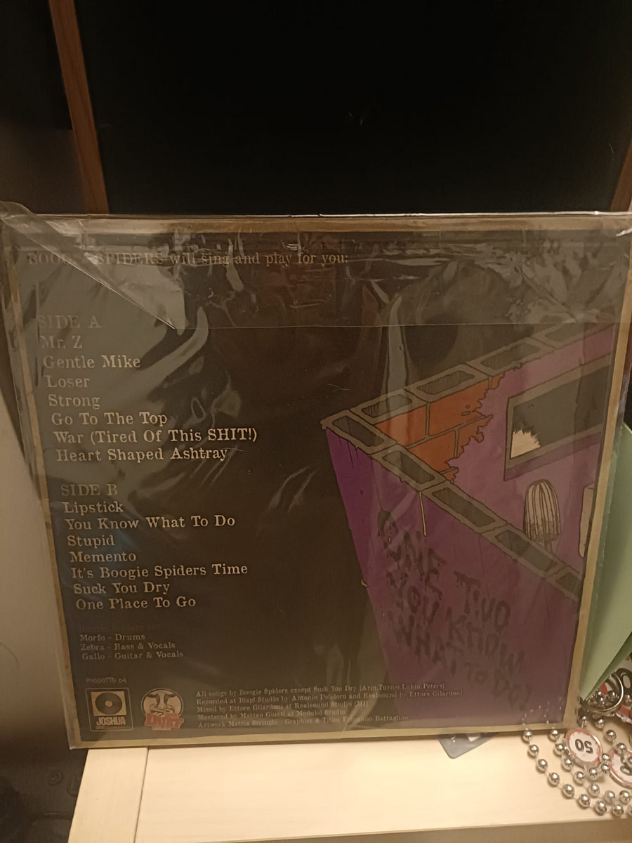 Songs For Losers | Boogie Spiders | The Boogie Spiders