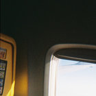 VIP COLLECTION | LOBSTA B