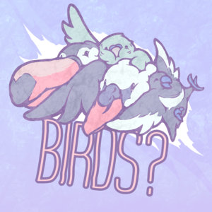 Merch | Birds?