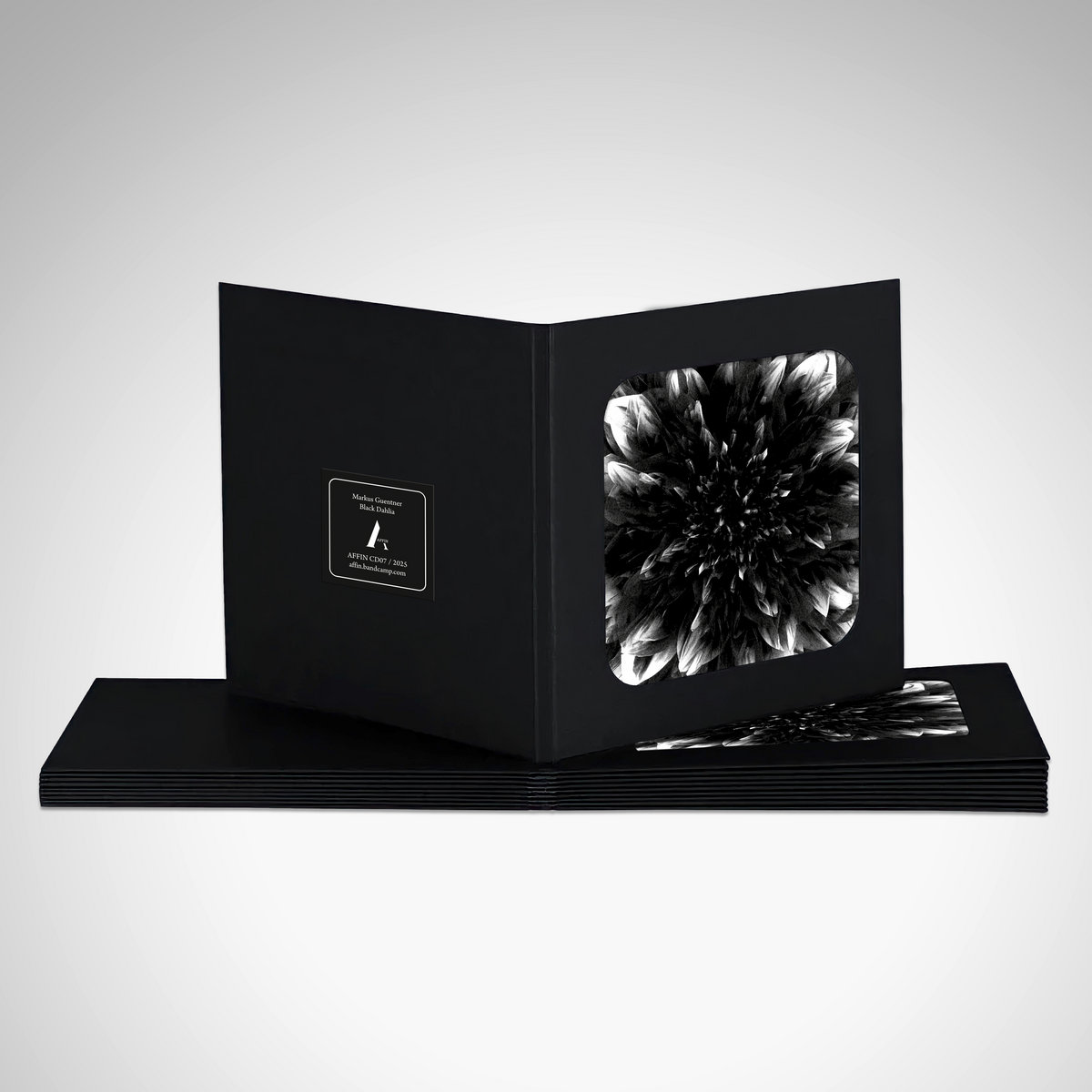 Black Dahlia | Markus Guentner