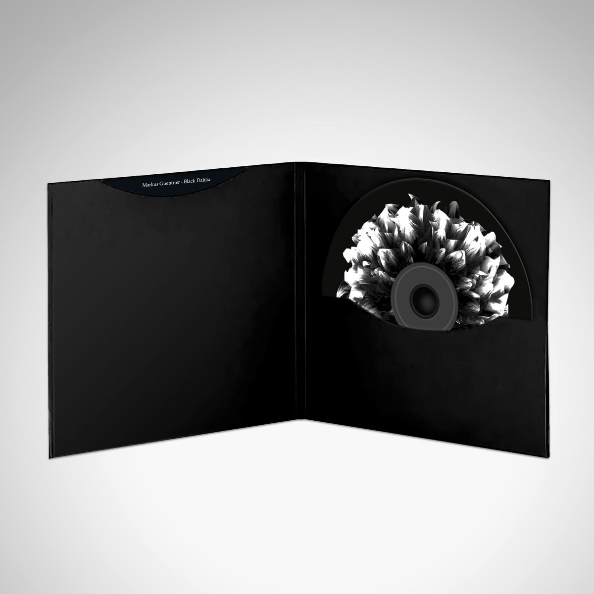 Black Dahlia | Markus Guentner