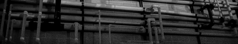 salt-wound routine | 11vein