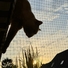 APPARITIONS | Regan & Bricheno