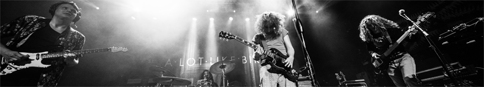 Big Bucks | Lobby Boxer