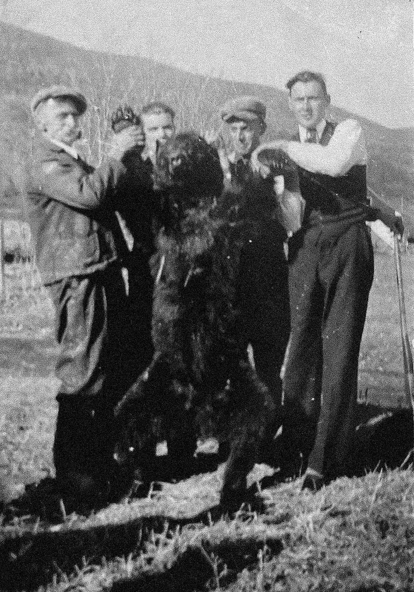 Grande Pointe | Grande Pointe