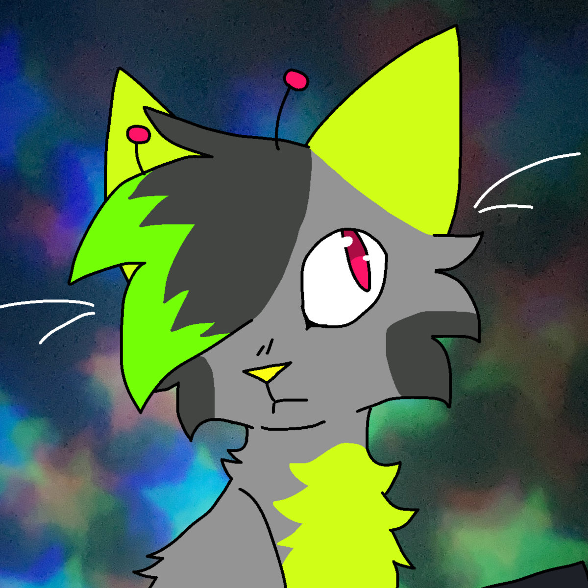 Worse Circumstances | Insect Orchestra