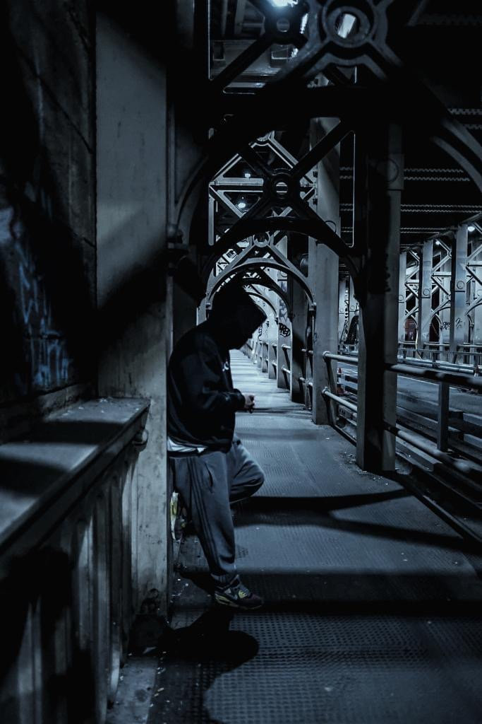 Universal Patterns | The Chameleon