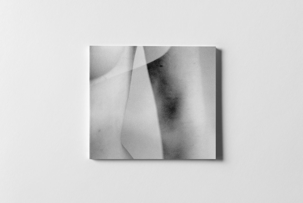 ELEkTRA | Camilla Battaglia