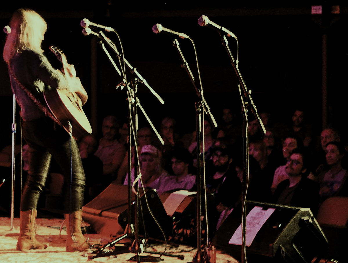 This Hen's Gonna Crow | colleen kattau