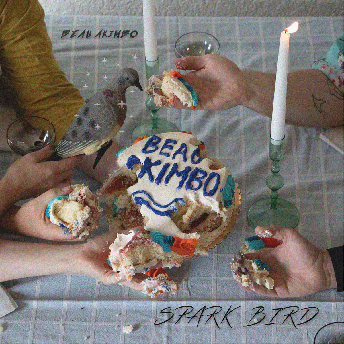 Spark Bird | Beau Akimbo