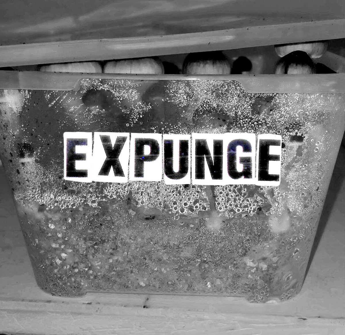 EXPUNGE - REMASTER | EXPUNGE