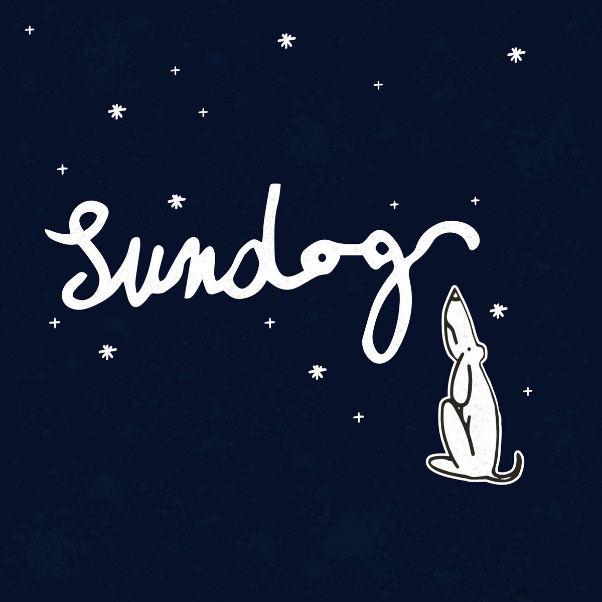 Surprise! The Best of Sundog | Sundog